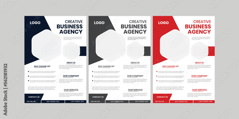 A bundle of a4 size web and print flyers, typesetting service flier ...
