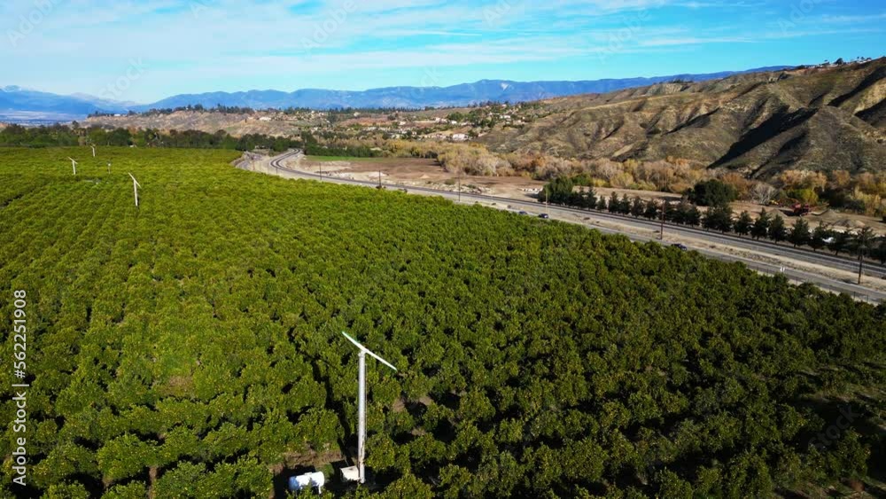 An Aerial View of an Orange Grove in a California Valley from a UAV ...