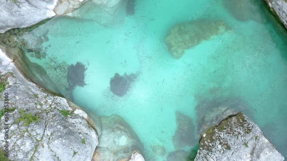 Bird Eye View Ascending Shot Of Soka Trouts sun gazing in The Middle Of ...