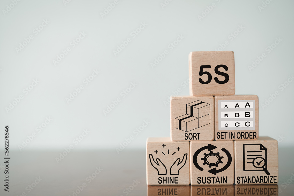 Set of 5s methodology icons (Sort, Set in Order, Shine, Standardize ...