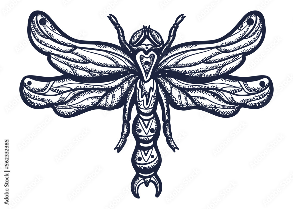 Dragonfly. Old school tattoo vector art. Hand drawn graphic. Isolated ...