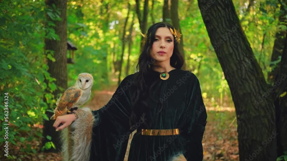 Fantasy portrait woman sorceress walks in deep forest with white bird ...