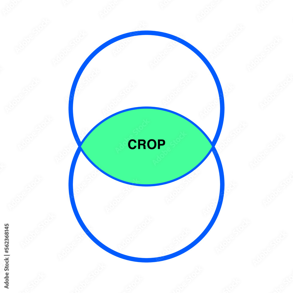 Intersection Overlapping circles. Venn diagram Line drawing Vector ...