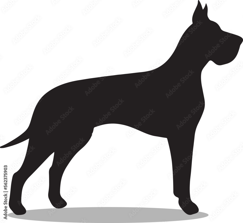 Vetor de Great Dane Silhouette, cute Great Dane Vector Silhouette, Cute ...