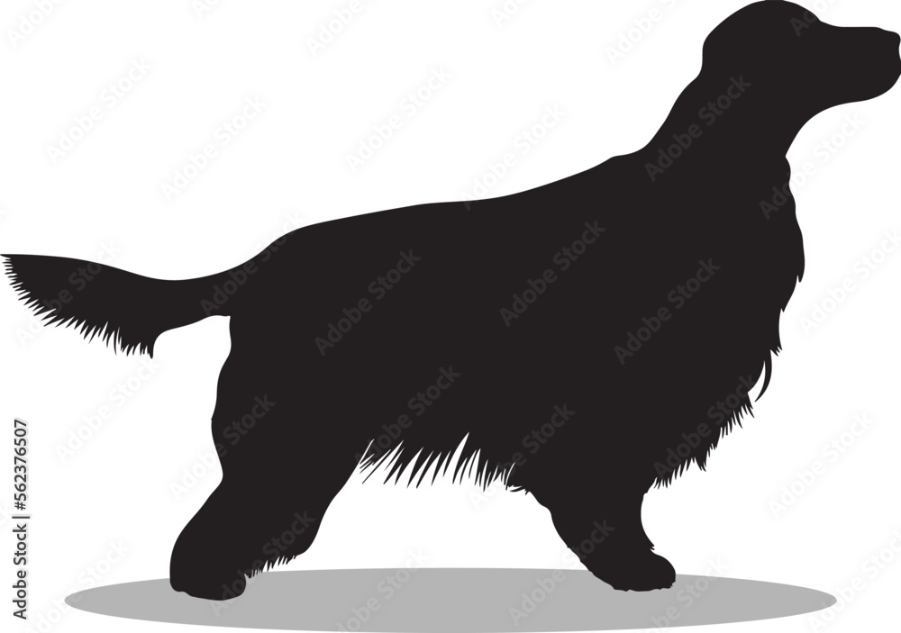 Irish Setter Silhouette, cute Irish Setter Vector Silhouette, Cute ...