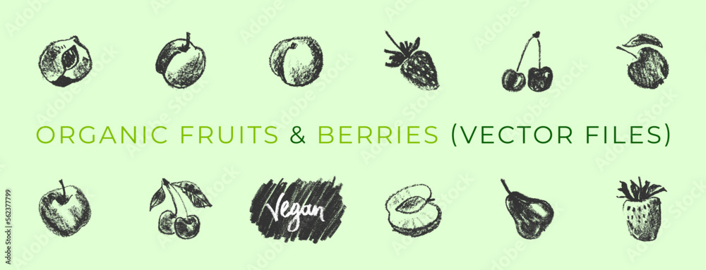 Vector hand drawnings of fruits and berries. Logo design templates ...