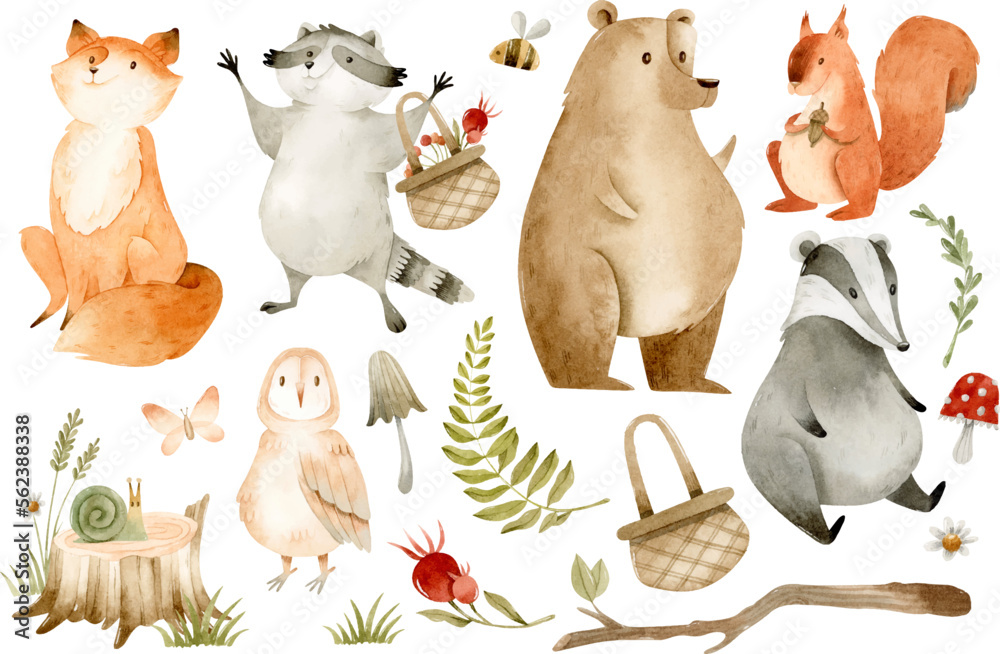 Forest animals and watercolor nature elements isolated clipart set ...