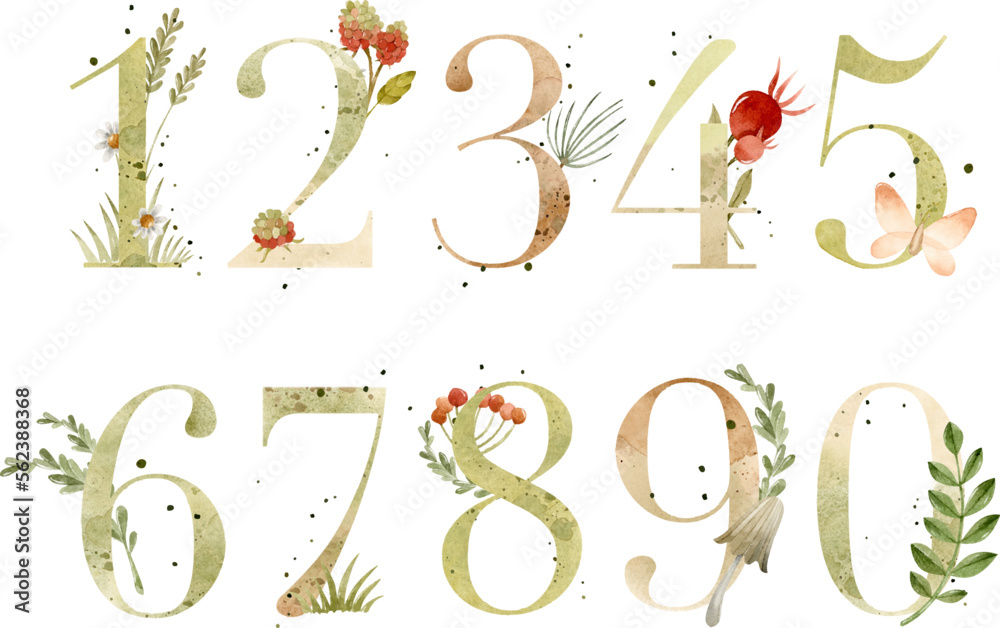 Watercolor numbers with natural elements, berries, mushrooms, flowers ...