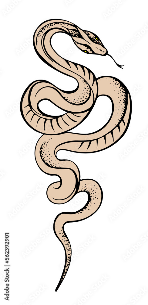 vector illustration of a snake, icon, sketch of an artistic tattoo ...