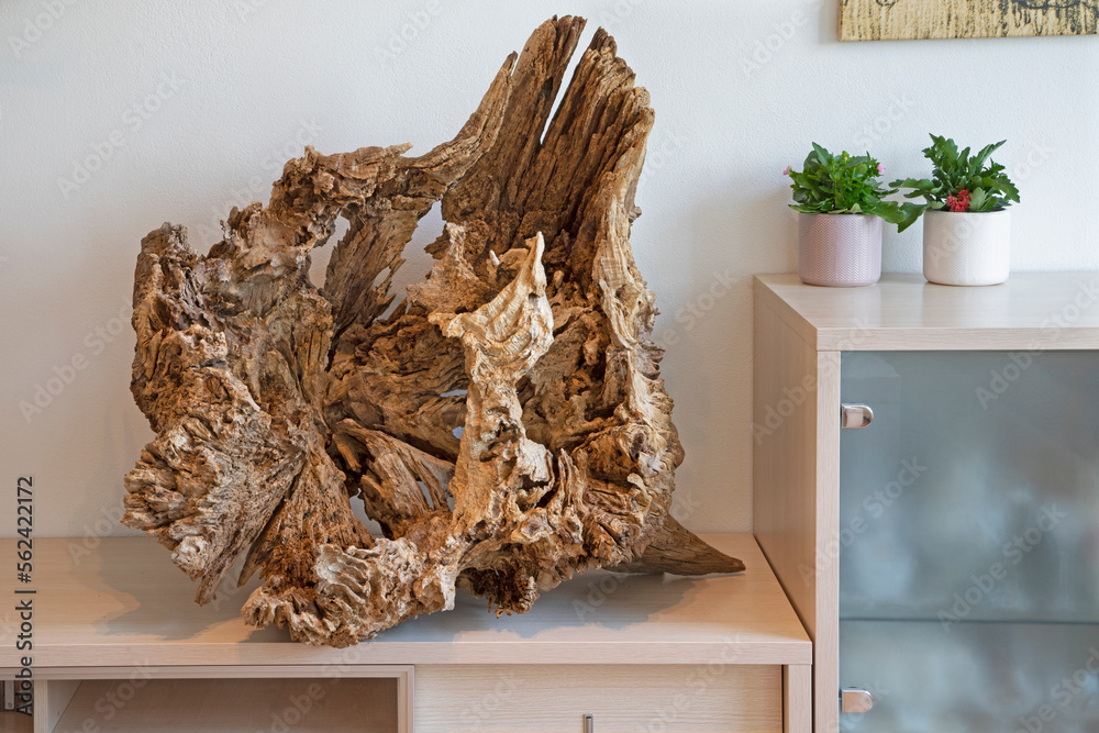 The modern wood decorative oak sculpture. Stock Photo | Adobe Stock
