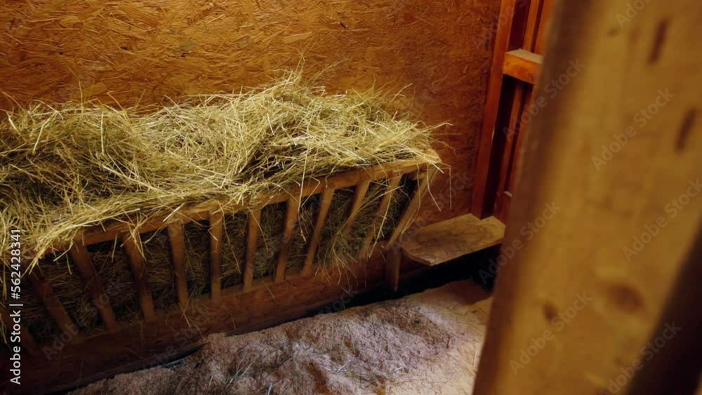 A look inside of one of the horse stables at the ranch vídeo do Stock ...