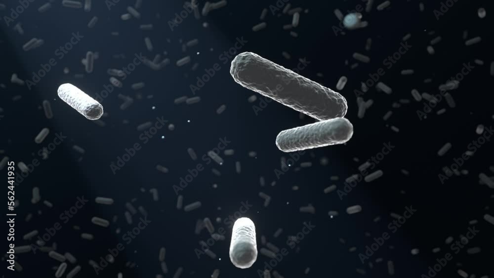 Bacteria animation under the microscope. Escherichia Coli microbe. 3D ...