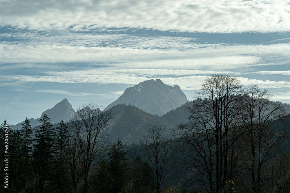 Massive mountain chain, forest and meadows of the German Alps Stock ...