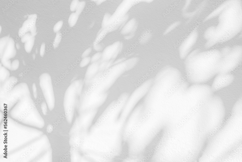 Stockfoto Tree shadow and light of leaf branch background. Nature ...