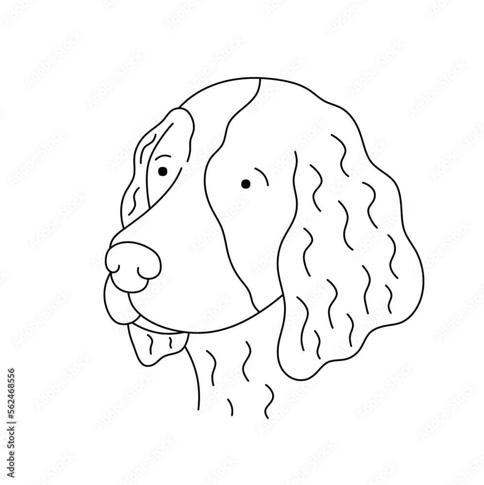 Vector isolated dog puppy springer spaniel head turned to the left face ...