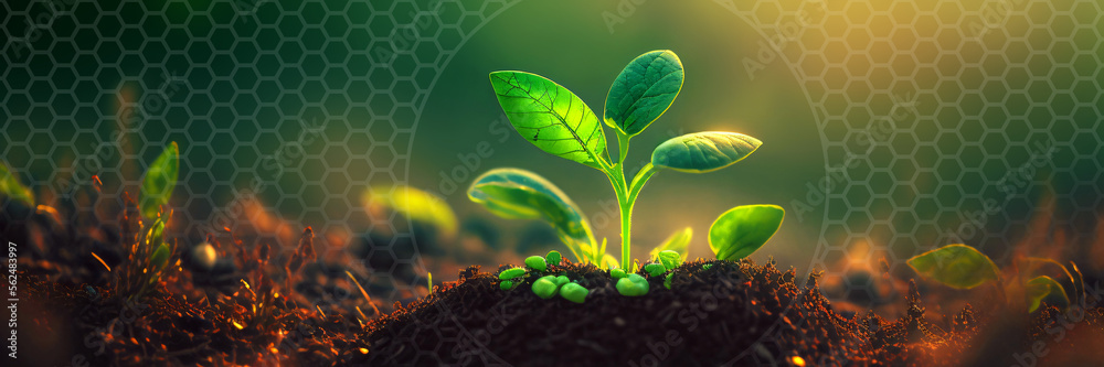 the tree of life, earth day concept, plant in the ground, small tree ...