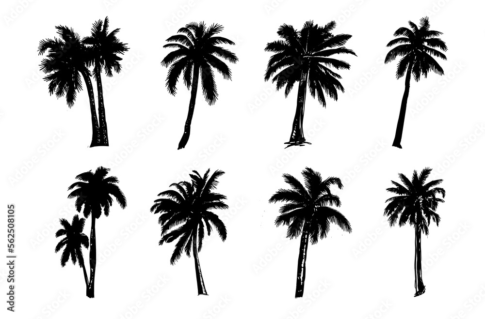 Hello Summer, Palm hand drawn illustrations, vector. Stock Vector ...