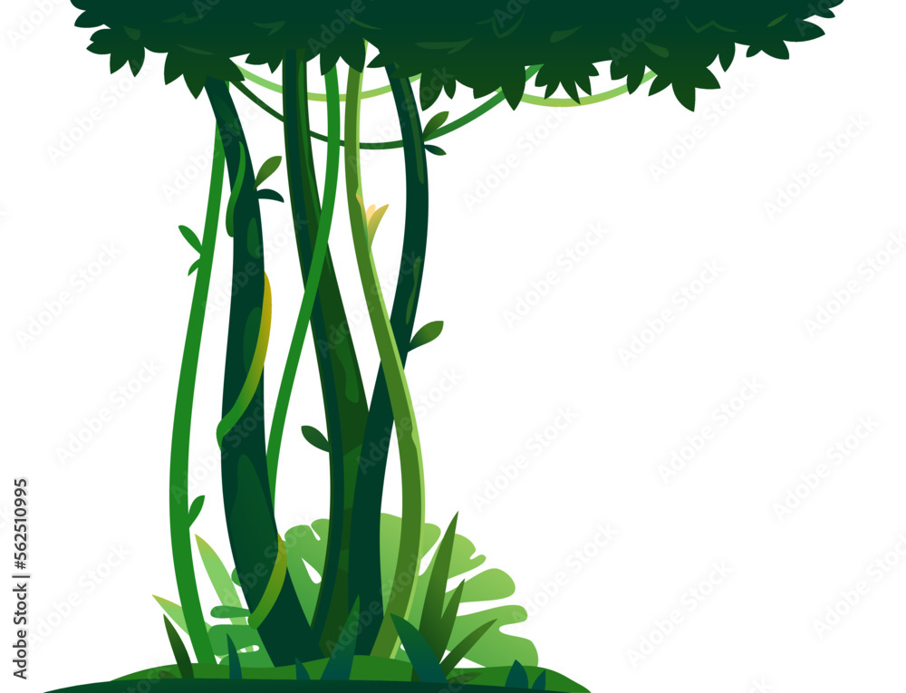 Decorative composition of jungle trees and lianas on white background ...