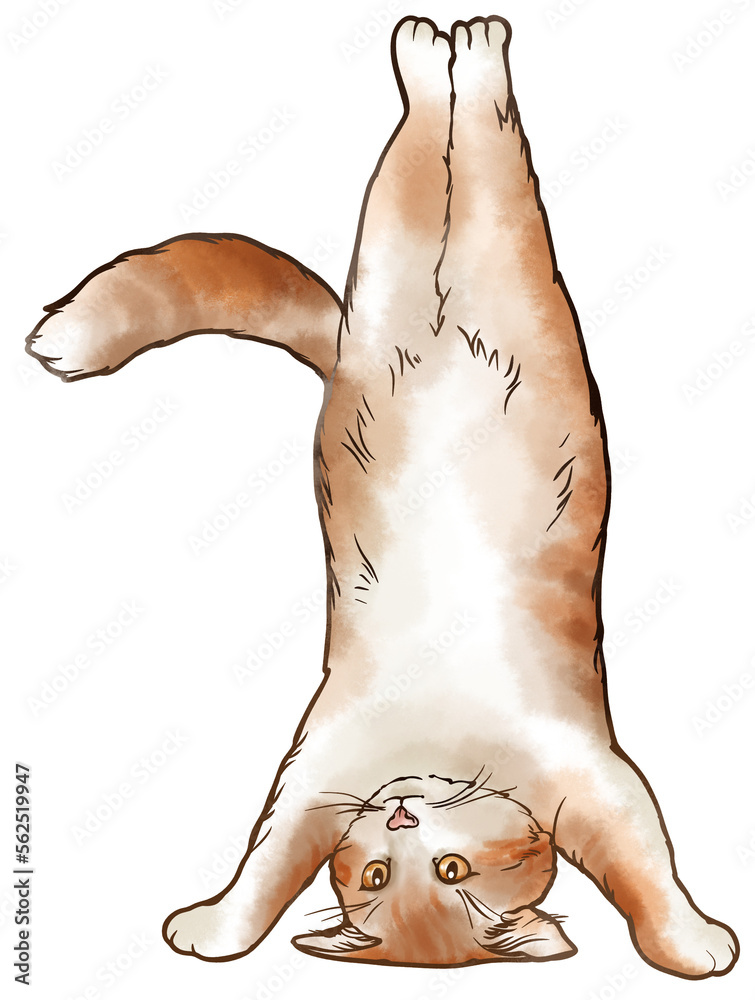 Cartoon doodle comic watercolor drawing of zen meditating cats in yoga ...