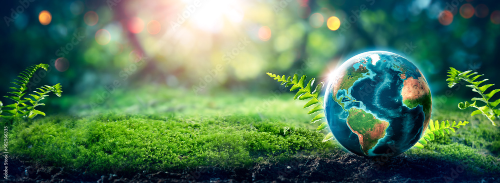 Planet Earth On Soil With green Moss and Ferns In Sunny Forest With ...