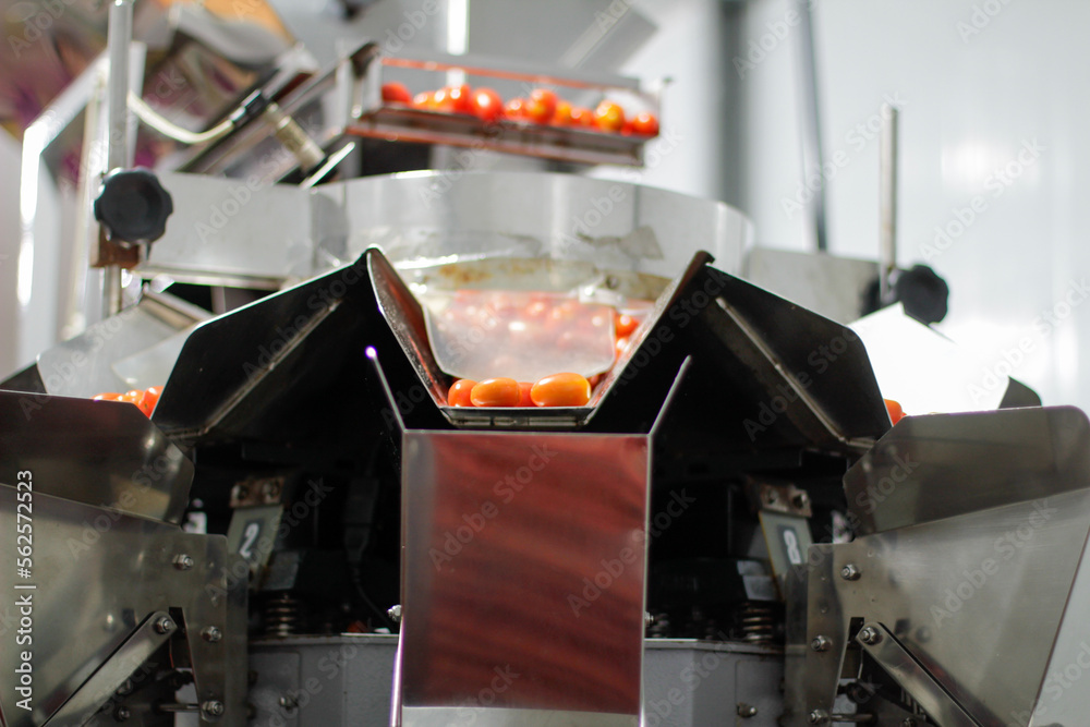 Automatic machine packing tomatoes Stock Photo | Adobe Stock