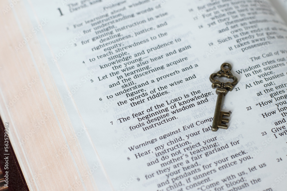 The fear of the LORD is the beginning of wisdom verse, proverbs bible ...