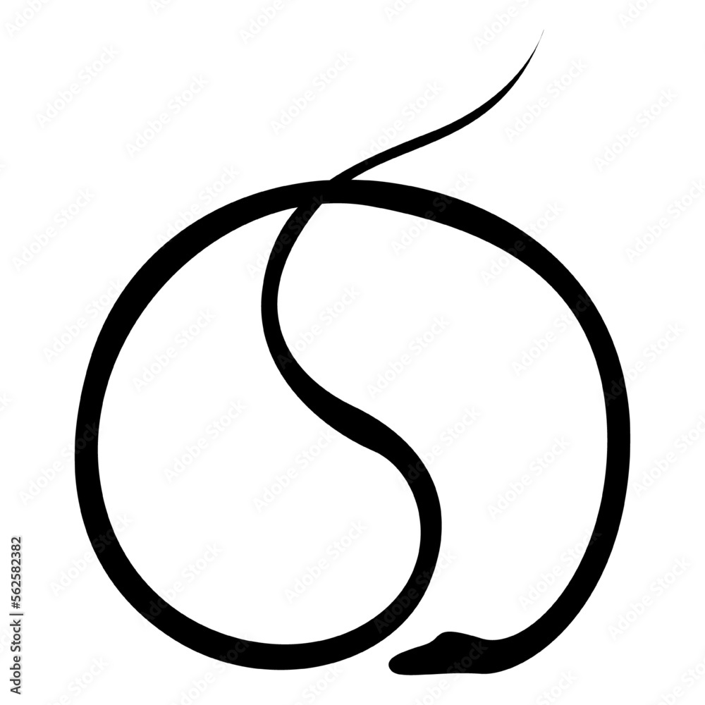 snake vector, icon, symbol, logo, clipart, isolated. vector ...