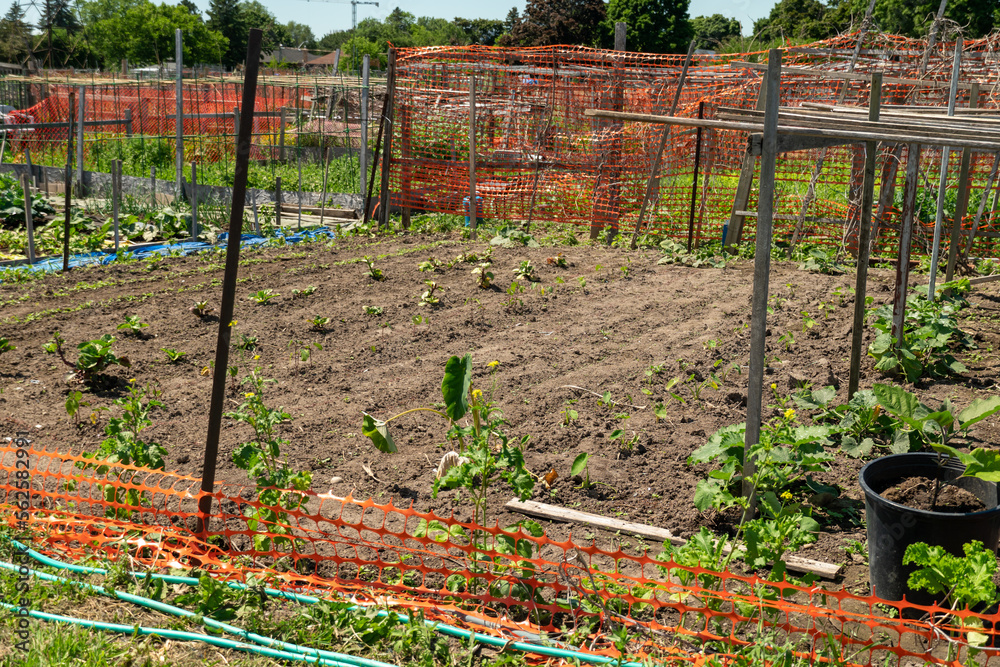 Permaculture trend result view. Sustainable design and systems in ...