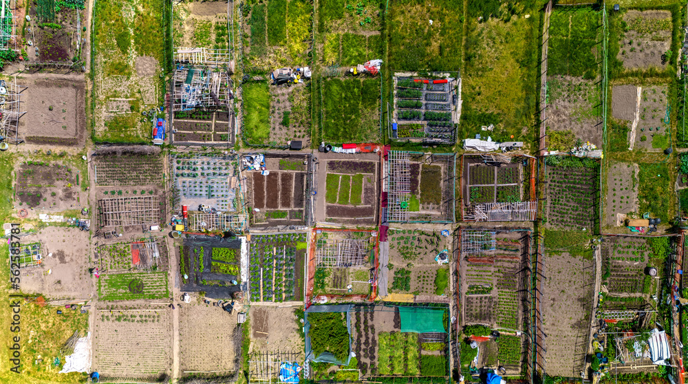 Permaculture trend result aerial view. Sustainable design and systems ...