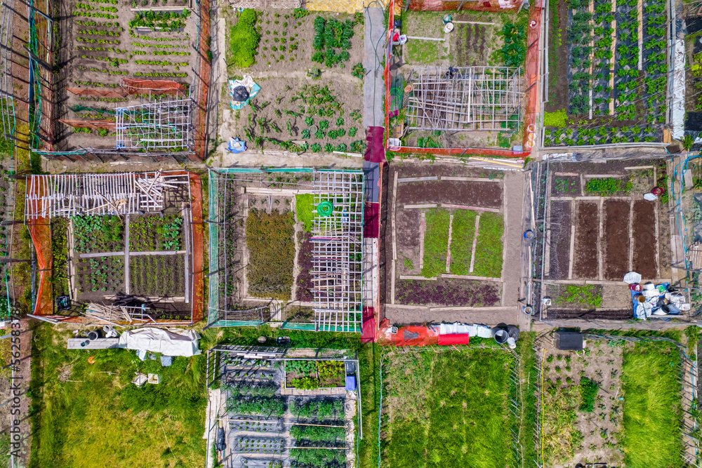 Permaculture trend result aerial view. Sustainable design and systems ...