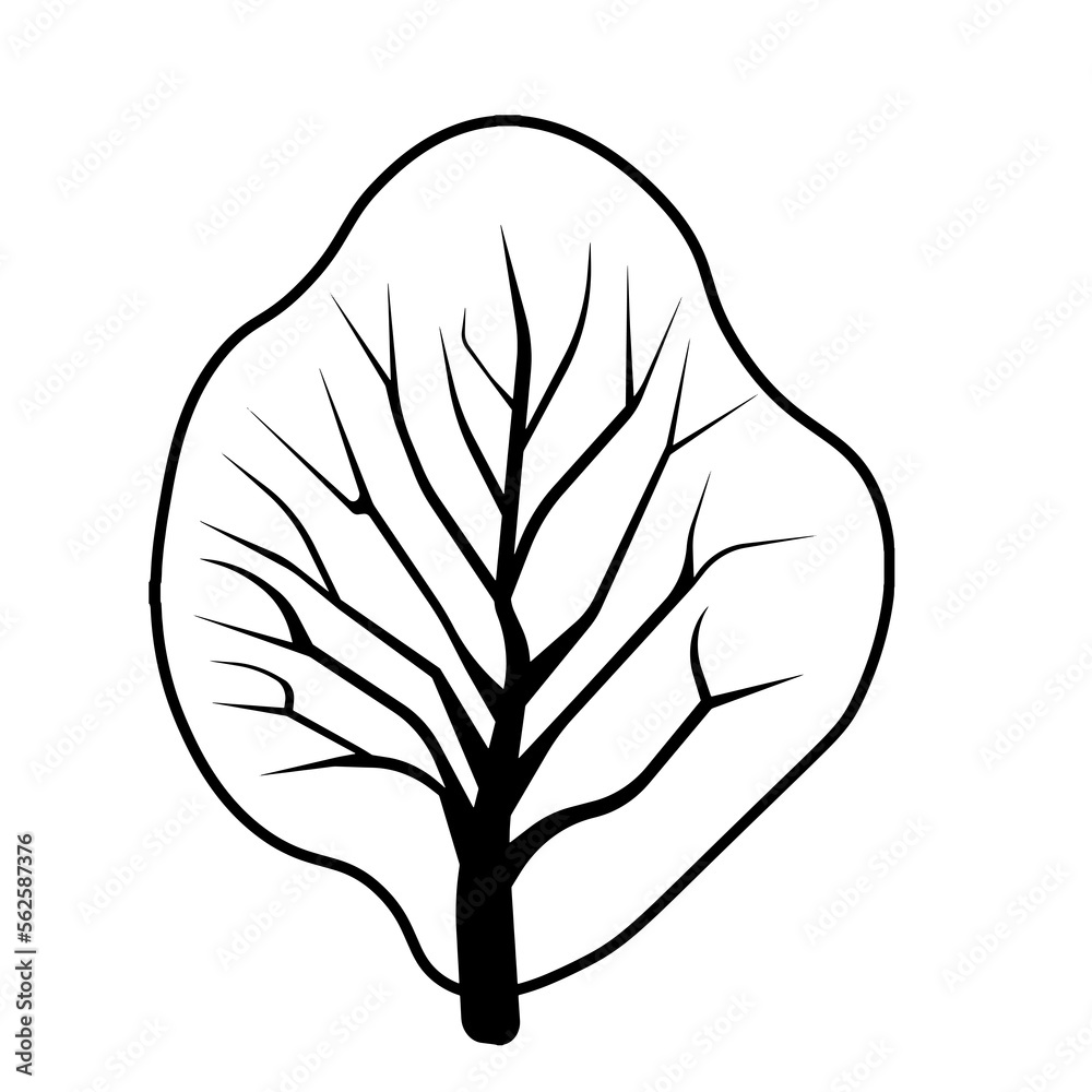 Cabbage leaf icon outline. PNG illustration isolated on transparent ...