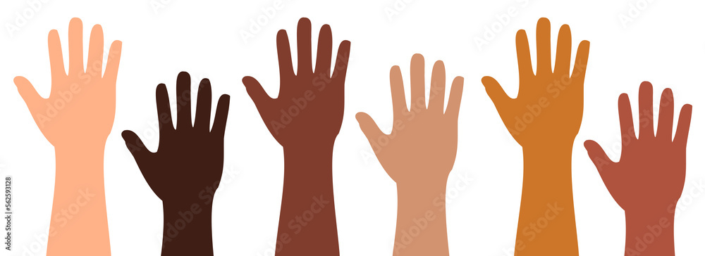 Diversity hands on transparent background. Multi ethnic and mutli ...
