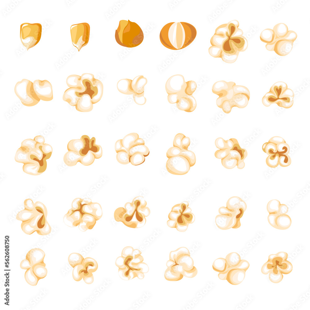Popcorn kernel types and process of popping vector Stock Vector | Adobe ...