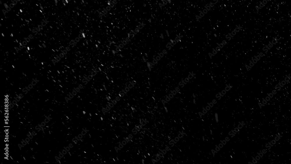 Winter real snowfall effect Snow storm isolated black background in 4K ...