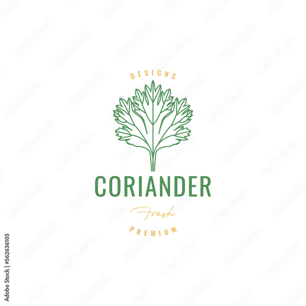 coriander vegetable cooking food menu spice hipster logo design vector ...