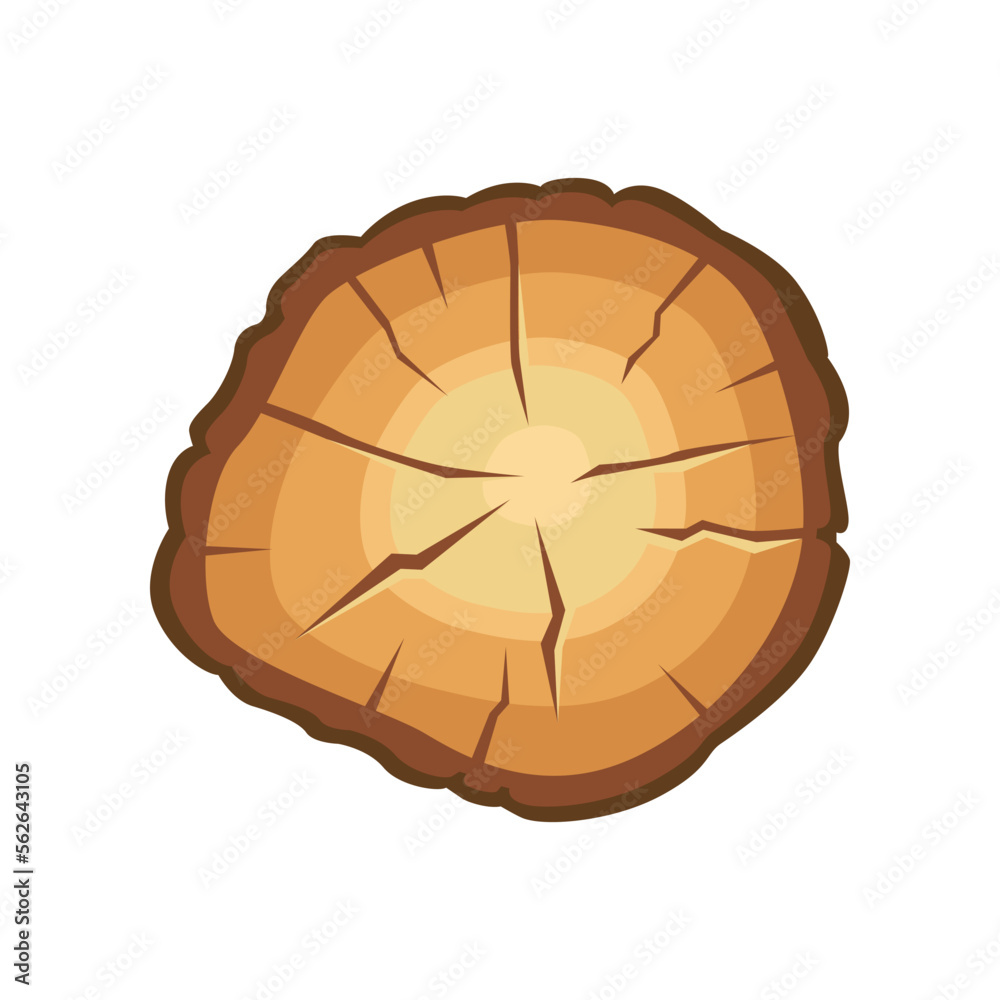 Round wood slice vector illustration. Cartoon drawing of part of tree ...