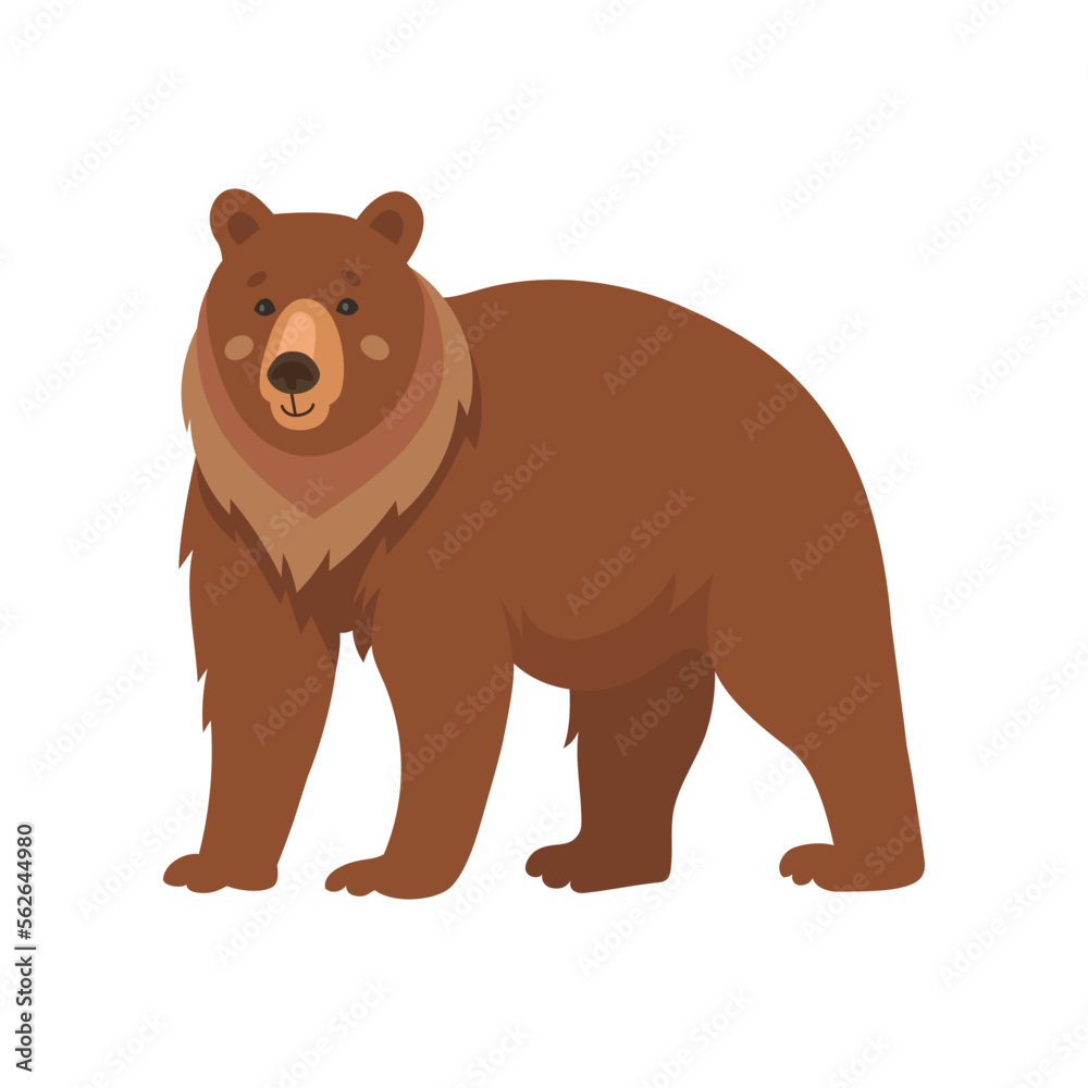 Vecteur Stock Wild Brown Bear Walking Flat Vector Illustration Drawing
