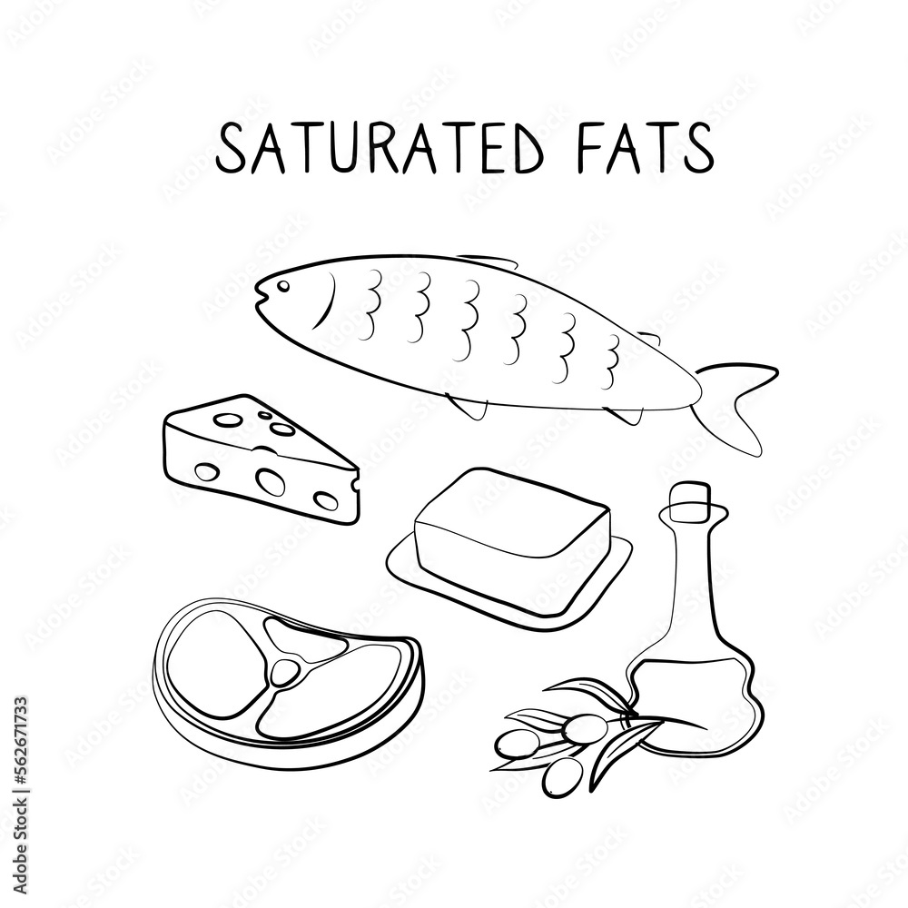 Saturated fatty acids-containing food. Groups of healthy products ...