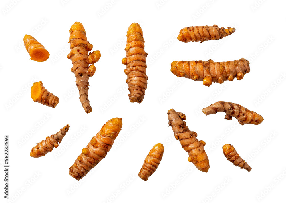 Set of raw curcuma rhizomes cutout macro. Whole organic turmeric roots ...