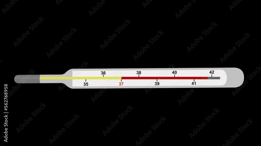 Illustration animation of a thermometer measuring temperature with ...