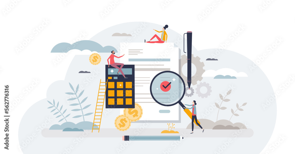 Bookkeeping service and financial business data audit tiny person ...