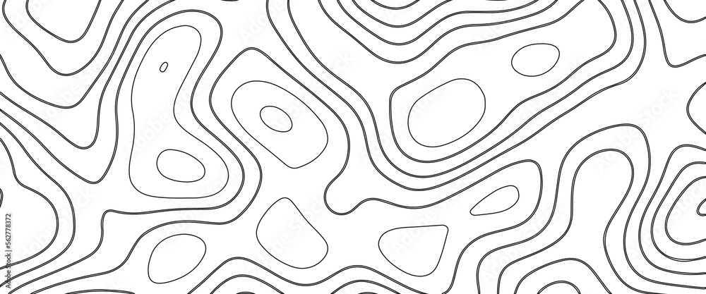 Abstract Blank Detailed Topographic Contour Map Subtle White Vector ...