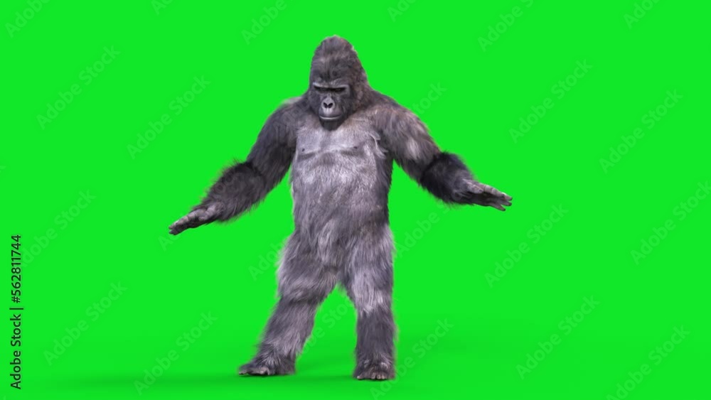 Green Screen Gorilla Dances Hip Hop Realistic Fur 3D Animations ...