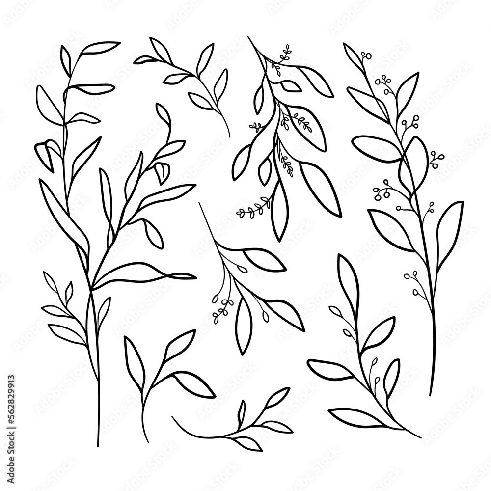 Floral set outline on white background. Eucalyptus leaves clipart on ...