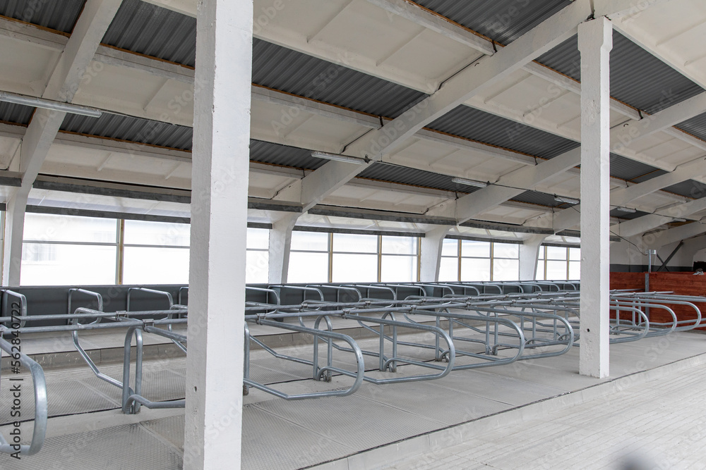 A barn with a corral for cows on the farm. The design of the animal ...