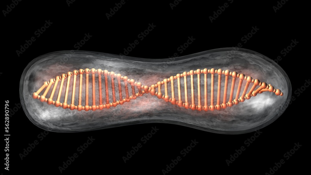 DNA preserved in ice. DNA molecule strand in transparent glass, ice ...