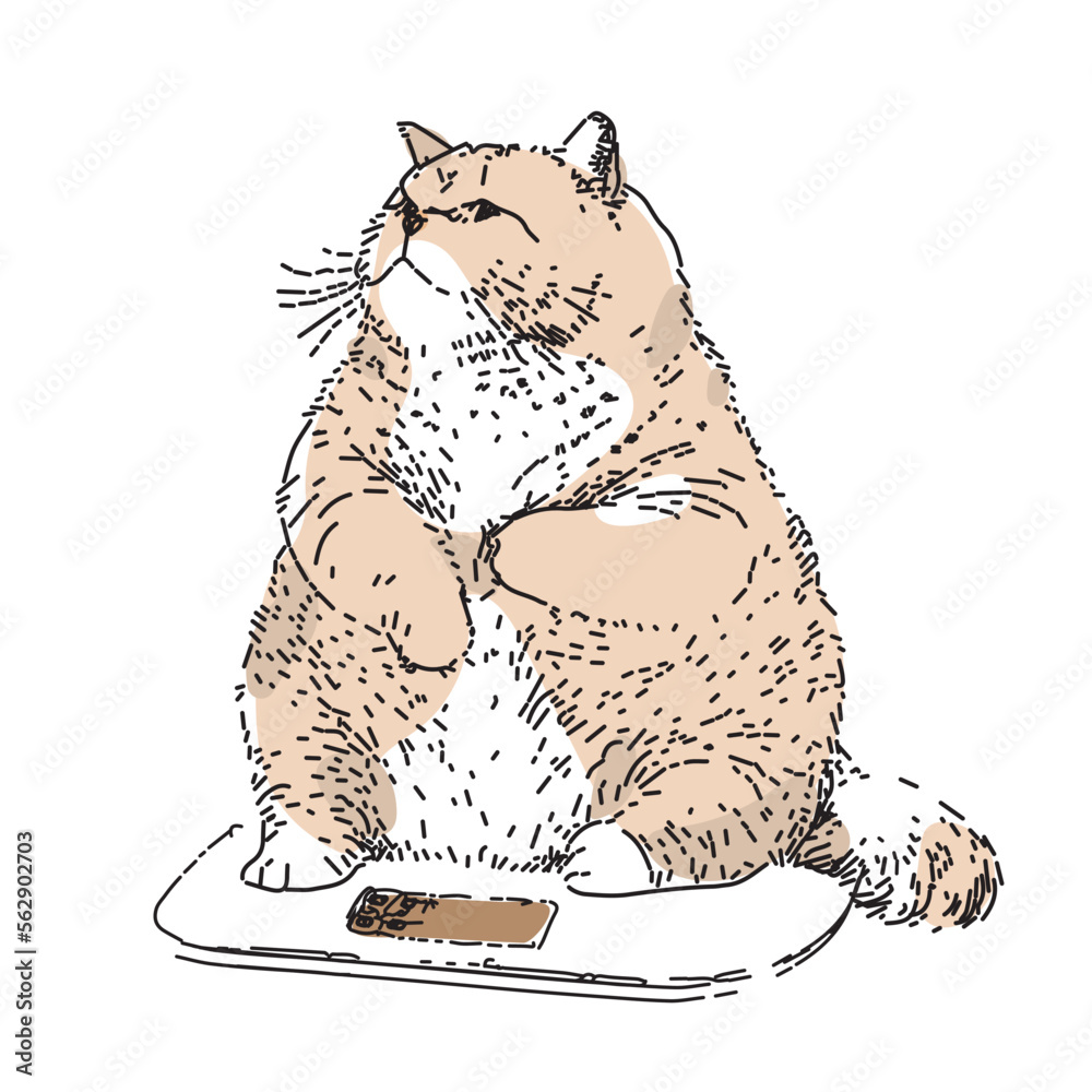 Big fluffy cat sits on the scales. Overweight pet. Pencil sketch of a ...