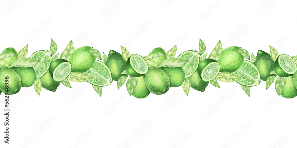 Watercolor seamless border made of limes, slice of lime, branches and ...