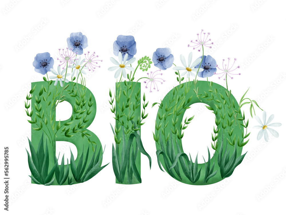 Hand drawn word Bio with meadow flowers, grass and leaves. Beautiful ...