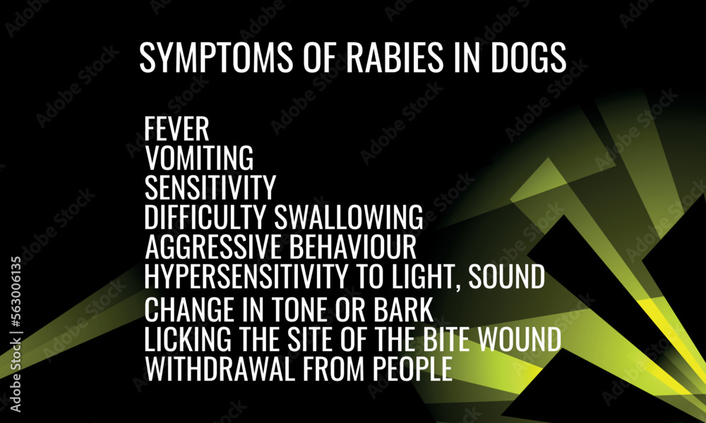 symptoms of Rabies IN dogs. Vector illustration for medical journal or ...